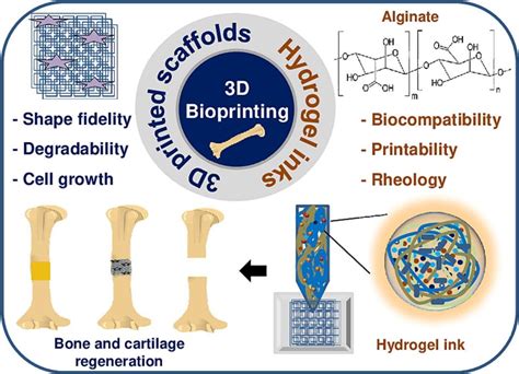 Alginate Based Bioinks For 3d Bioprinting Of Engineered Orthopedic
