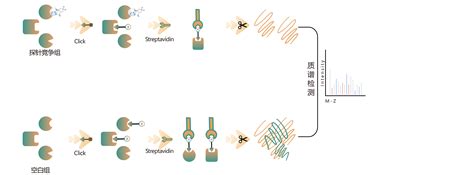 Protein Targets Identification By Differential Proteomics
