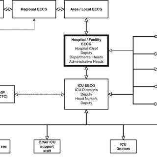 Schematic Algorithm Describing Key Lines Of Authority Command Chain
