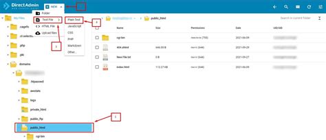 How To Create Edit Htaccess File Via DirectAdmin