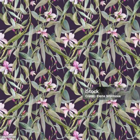 손으로 그린 수채화 그림 식물 잎 Osier 버드 나무 유칼립투스 월계수 가지 Clematis Lobelia Impatiens 재스민 오렌지 꽃 어두움에 고립 된 완벽 한