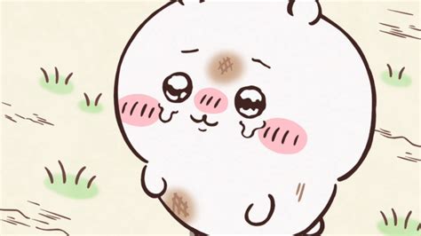 잡담 치이카와 만져보고싶다 인스티즈instiz 일상 카테고리