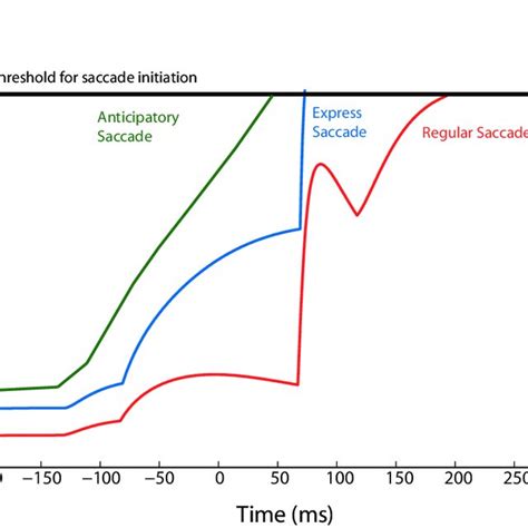 5 Saccade Timecourses Of The Three Different Types Of Saccades The Download Scientific