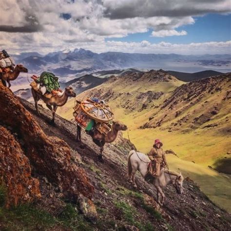 Монголын байгалийн шилдэг гэрэл зураг 2024 олон улсын уралдааны үзэсгэлэн гарч байна