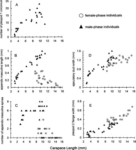 Variation In Sexual Characteristics With Increasing Body Size Of Download Scientific Diagram