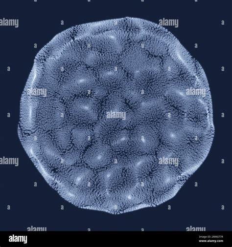 The Sphere Consisting Of Points Abstract Globe Grid Sphere Illustration 3d Grid Design