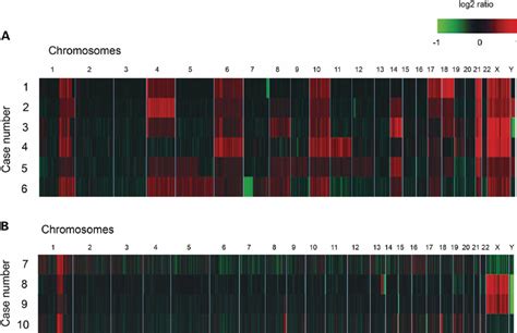 Heat Map Of Genomic Imbalances Detected By Array Cgh Analyses Of Six Download Scientific