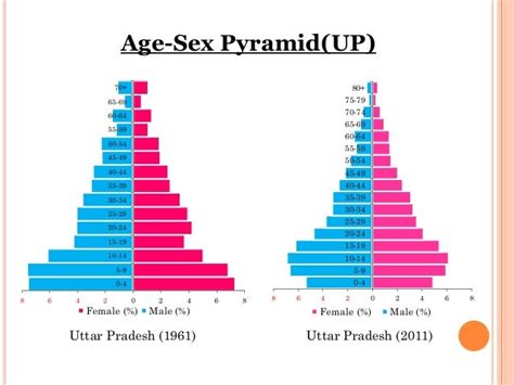 Age And Sex Structure Of Uttar Pradesh And Kerala A Comparative Study