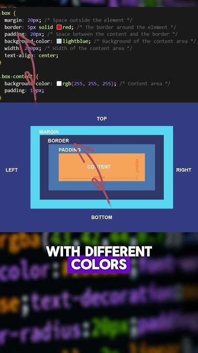 Master The Css Box Model In 60 Seconds 🚀 Css Webdevelopment Frontenddeveloper Youtube