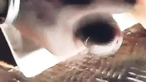 Mota Kala Lund Xhamster