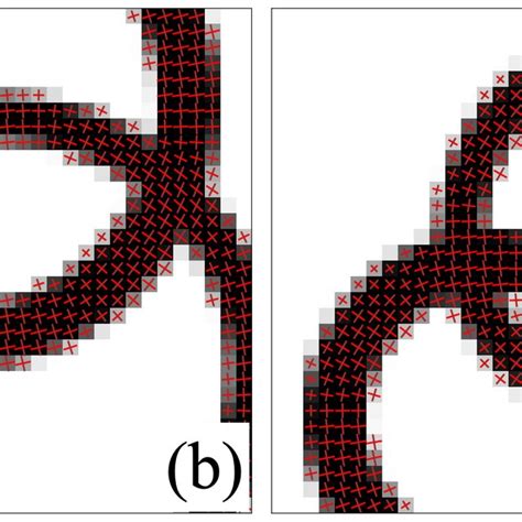A D Examples Of Rasterized Vector Primitives With Accompanying Download Scientific Diagram