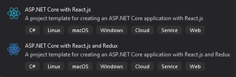 Use Aspnet Core Reactjs Template Without Spa Proxy Stack Overflow