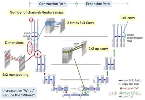 从零开始编写u Net模型 知乎
