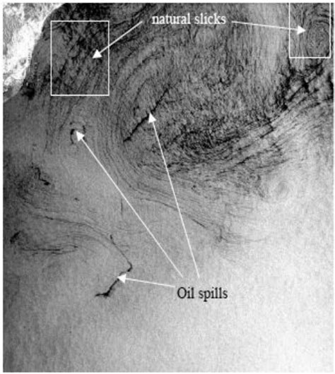 Examples Of Oil Spills And Slicks In A Sar Image Near Barcelona Download Scientific Diagram