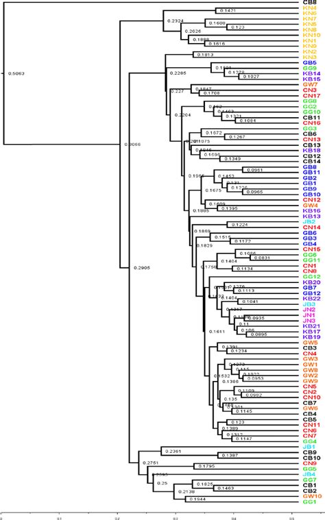 Unweighted Unifrac Tree Showing Hierarchical Clustering Of Average