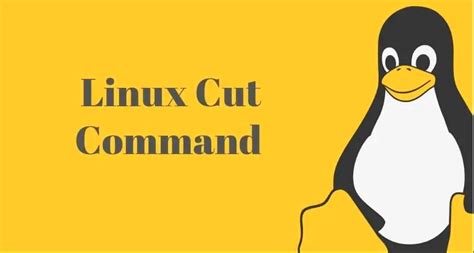 Awk Command In Linux The Awk Command In Linux Is A Powerful By