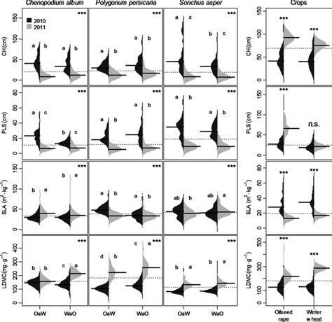 Distribution Of Trait Values Per Species Per Crop Sequence Type Per