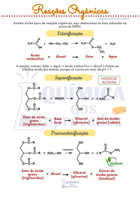 Resumo Sobre Reações Orgânicas