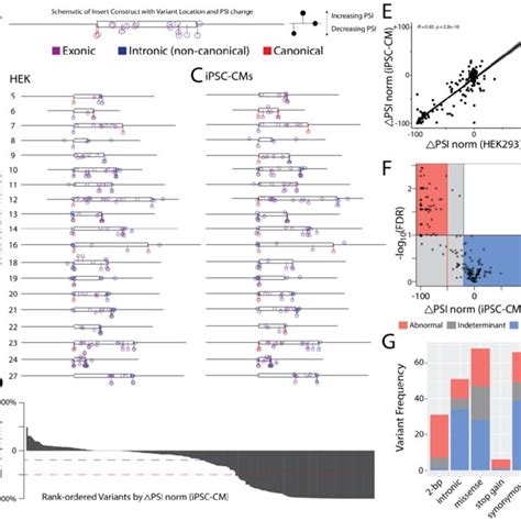 Parse Seq Results For A Library Of Scn5a Variants A Example Of Download Scientific Diagram