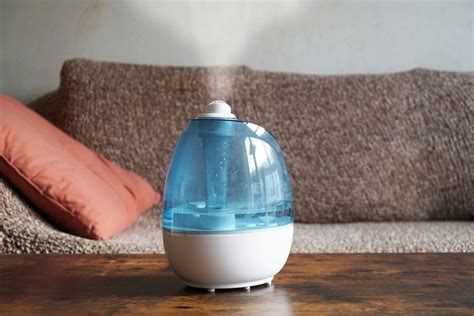 Can You Put Vicks In A Humidifier [and How To Add It]