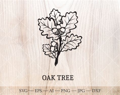 Drawing Oak Tree Clip Art