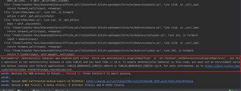 Runtimeerror Deterministic Behavior Was Enabled With Either `e