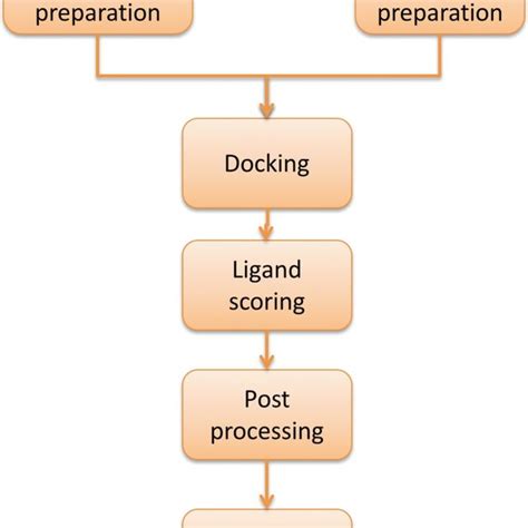 Typical Workflow Of A Docking Based Virtual Screening Dbvs Download Scientific Diagram