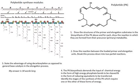 Polyketide Synthase Modules Oh Polyketide Pk 0 0 Ho