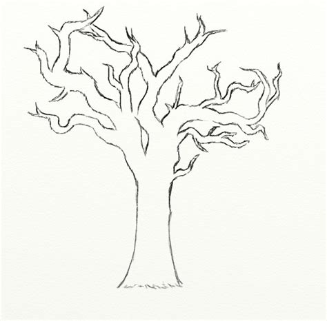 Easy Tree Sketches For Beginners Sketch Trees Step By Step