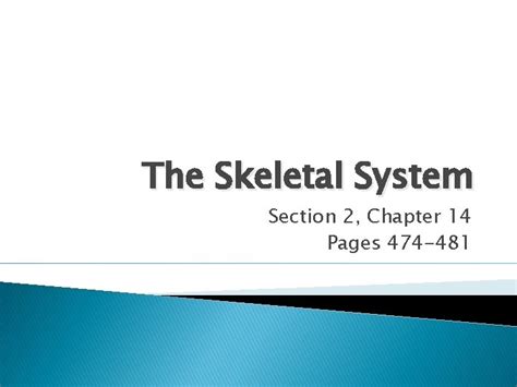The Skeletal System Section 2 Chapter 14 Pages