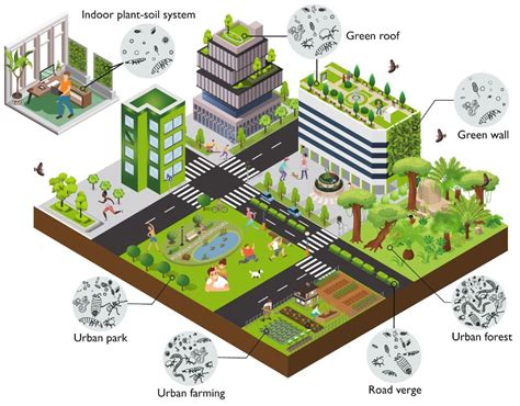 Soil Biodiversity Link To Human Health Mirage News