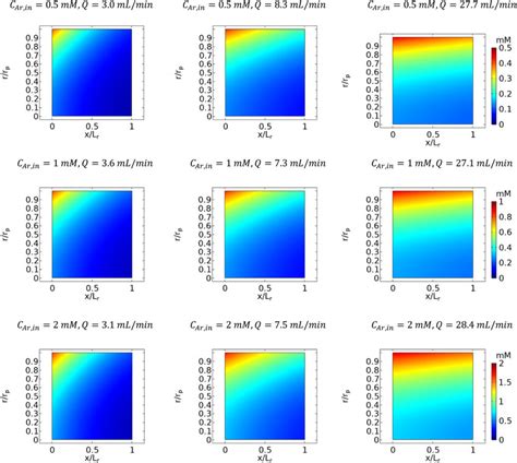 Single Pass Steady State Bioconversion Experiments With The Packed Bed Download Scientific