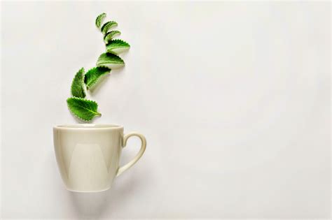 스타일 미니입니다 신선한 녹차 또는 그린 민트와 허브 차 한 잔 잎 특히 차 아로마 자질의 개념 0명에 대한 스톡 사진 및 기타 이미지 Istock