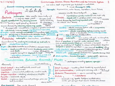 OCR A Level Biology Module Revision Posters Teaching Resources