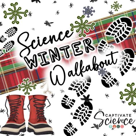 Science Holiday Fun For Middle Babe Captivate Science
