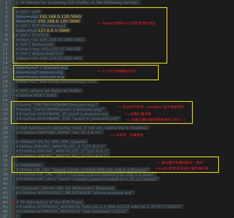 摳丁串門子 【摳丁心得】ims技術分享《三》 P Cscf