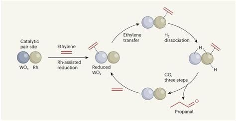 清华大学化工系王铁峰团队在非均相氢甲酰化催化研究方面取得重要进展 知乎