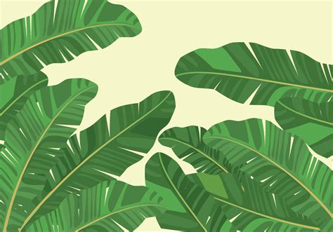 Banana Leaf Background 245854 Vector Art At Vecteezy