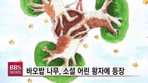 Bbs뉴스 소설 어린 왕자의 ‘바오밥 나무 국내 첫 개화 Youtube