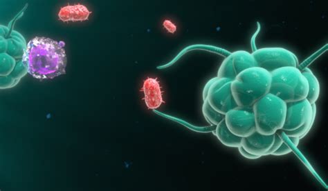 Immunology Translational Research Programme Core Facilities Single Cell