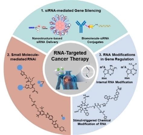 Recent Advances In Rna‐targeted Cancer Therapy Li 2024
