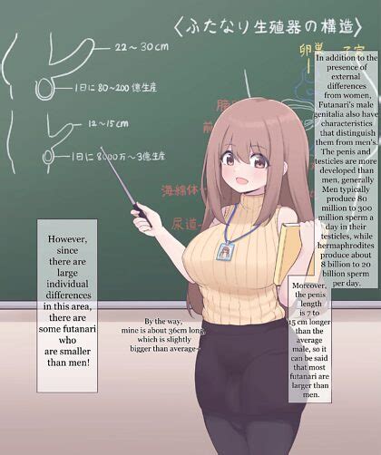 Una Presentación Sobre La Anatomía De Futanari
