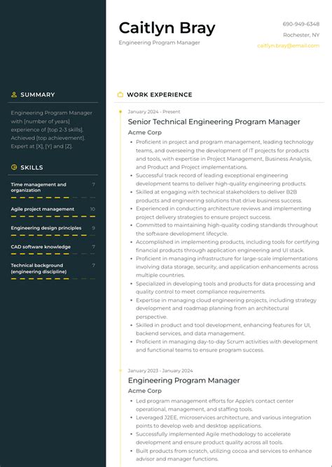 Engineering Program Manager Resume Examples And Templates