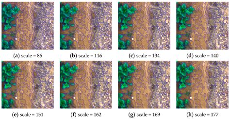 Crop Classification Combining Object Oriented Method And Random Forest Model Using Unmanned