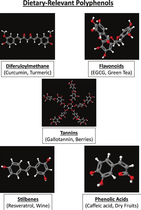 Polyphenol Families And Structure Of Typical Members Known To Have