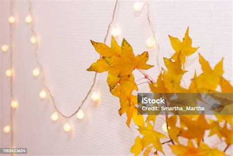 현대적인 인테리어 흰색 방 빈 벽과 홈 개념 깨끗한 벽 밝은 화환 노란색 단풍 나무 집 가을 단풍에 대한 스톡 사진 및 기타 이미지 Istock