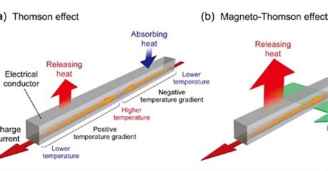 Ciencia Primera Observación Directa De Un Complejo Efecto Termoeléctrico Infobae