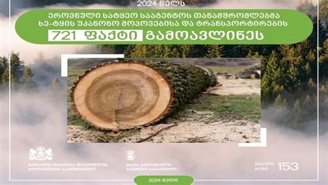 ეროვნული სატყეო სააგენტოს თანამშრომლებმა 2024 წელს სამართალდარღვევის 721 ფაქტი გამოავლინეს