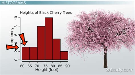 data distribution definition and types lesson