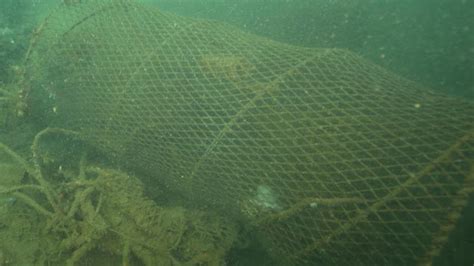 Train7 Object Detection Dataset By New Workspace Sspbb